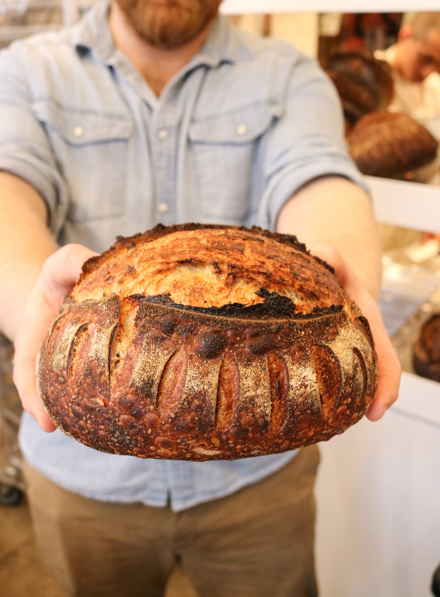 5 Reasons Why You Need To Visit ThoroughBread Bakery in Austin Texas ...