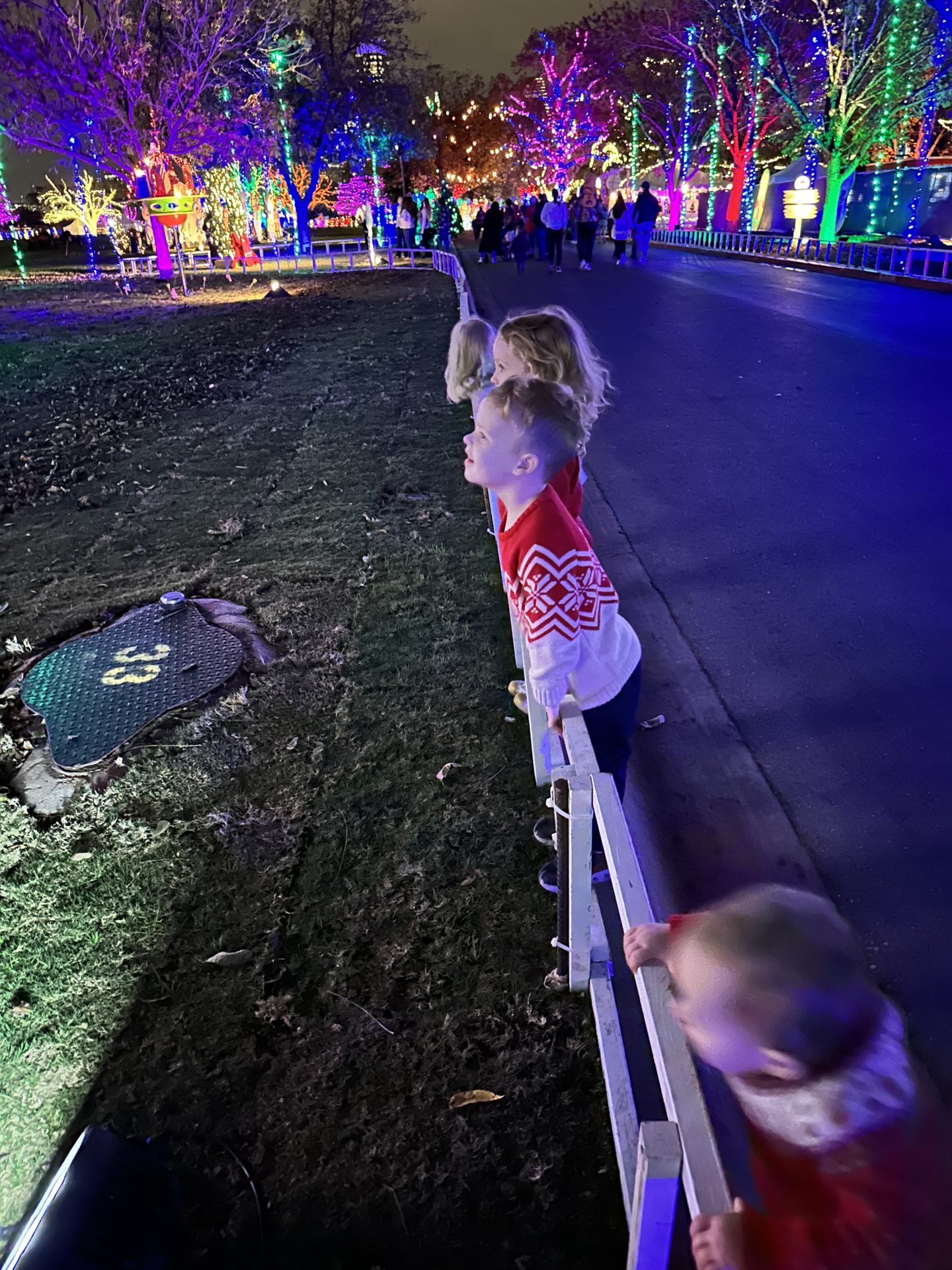 Trail of Lights 2022! - So Much Life