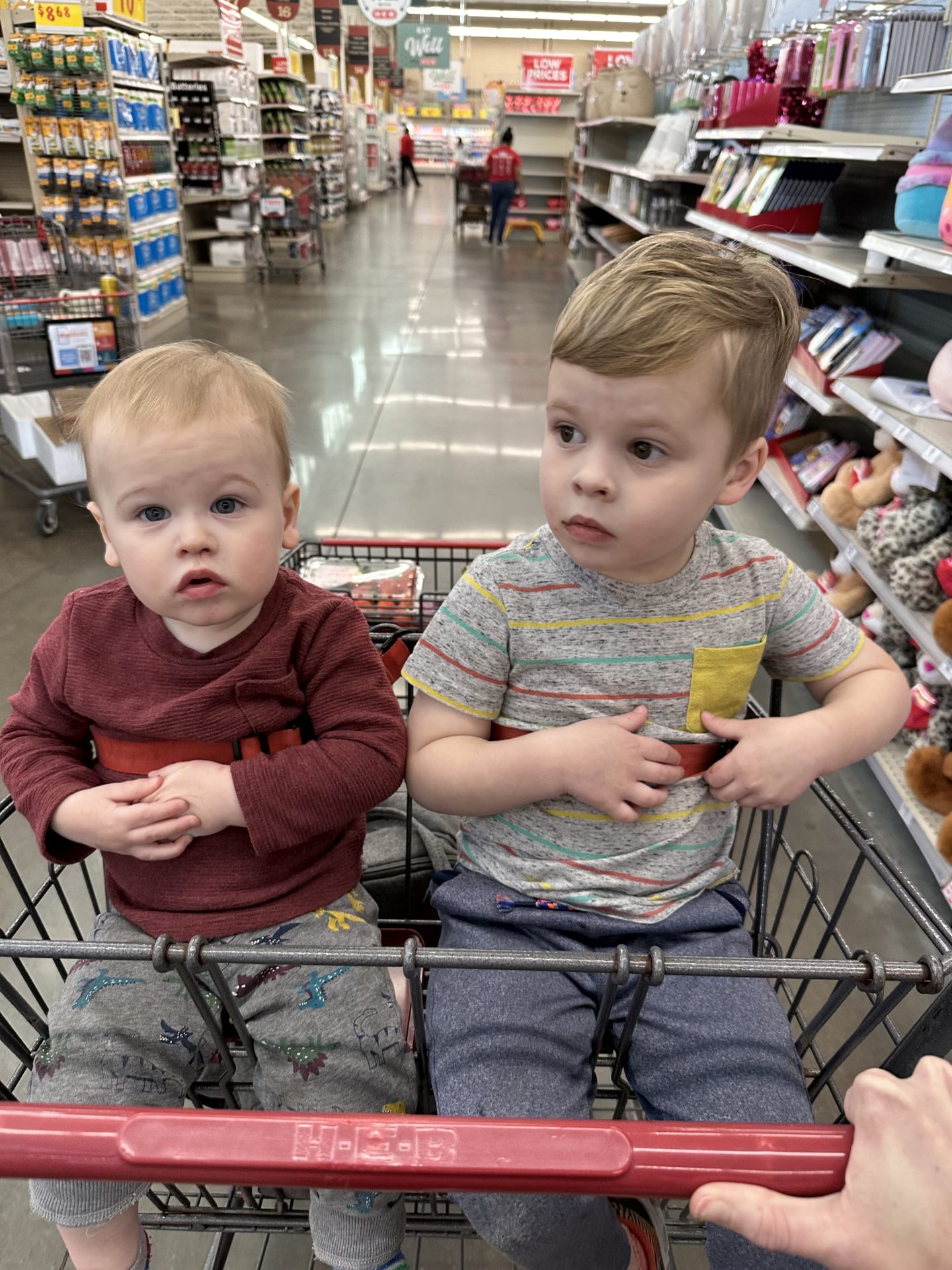 My Life Lately {Vol 6} - So Much Life