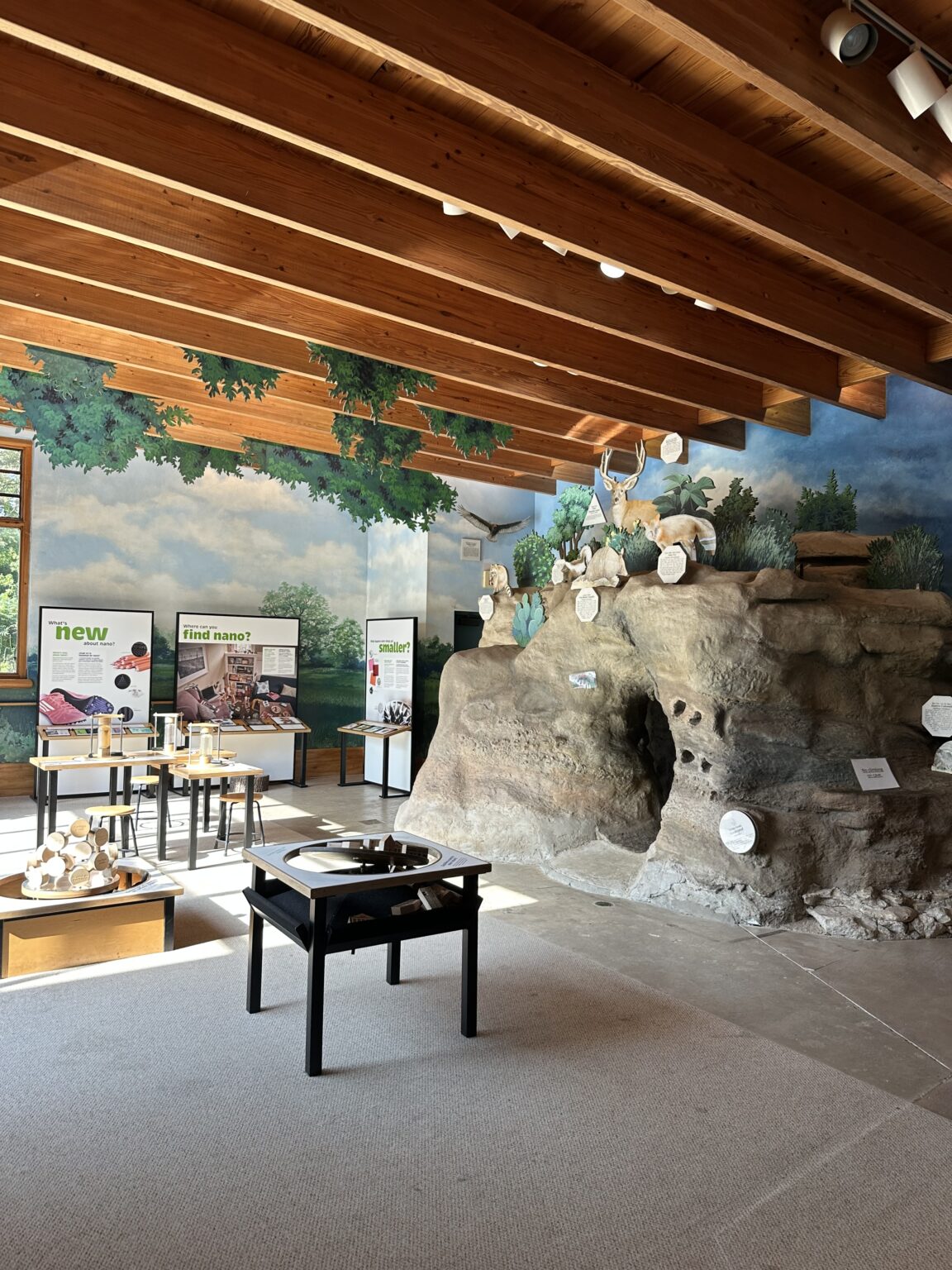 A Morning At The Austin Nature & Science Center - So Much Life