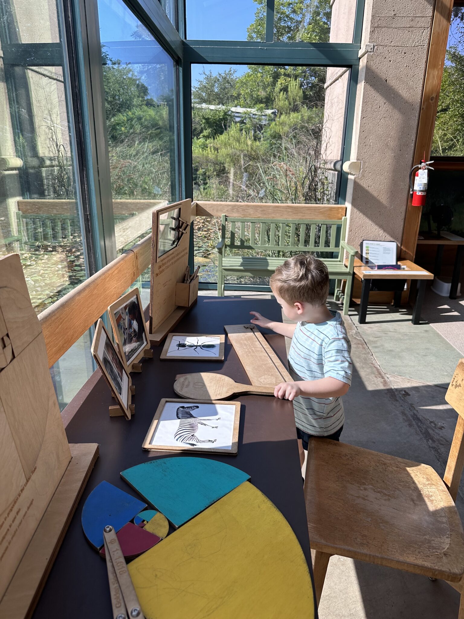 A Morning At The Austin Nature & Science Center - So Much Life